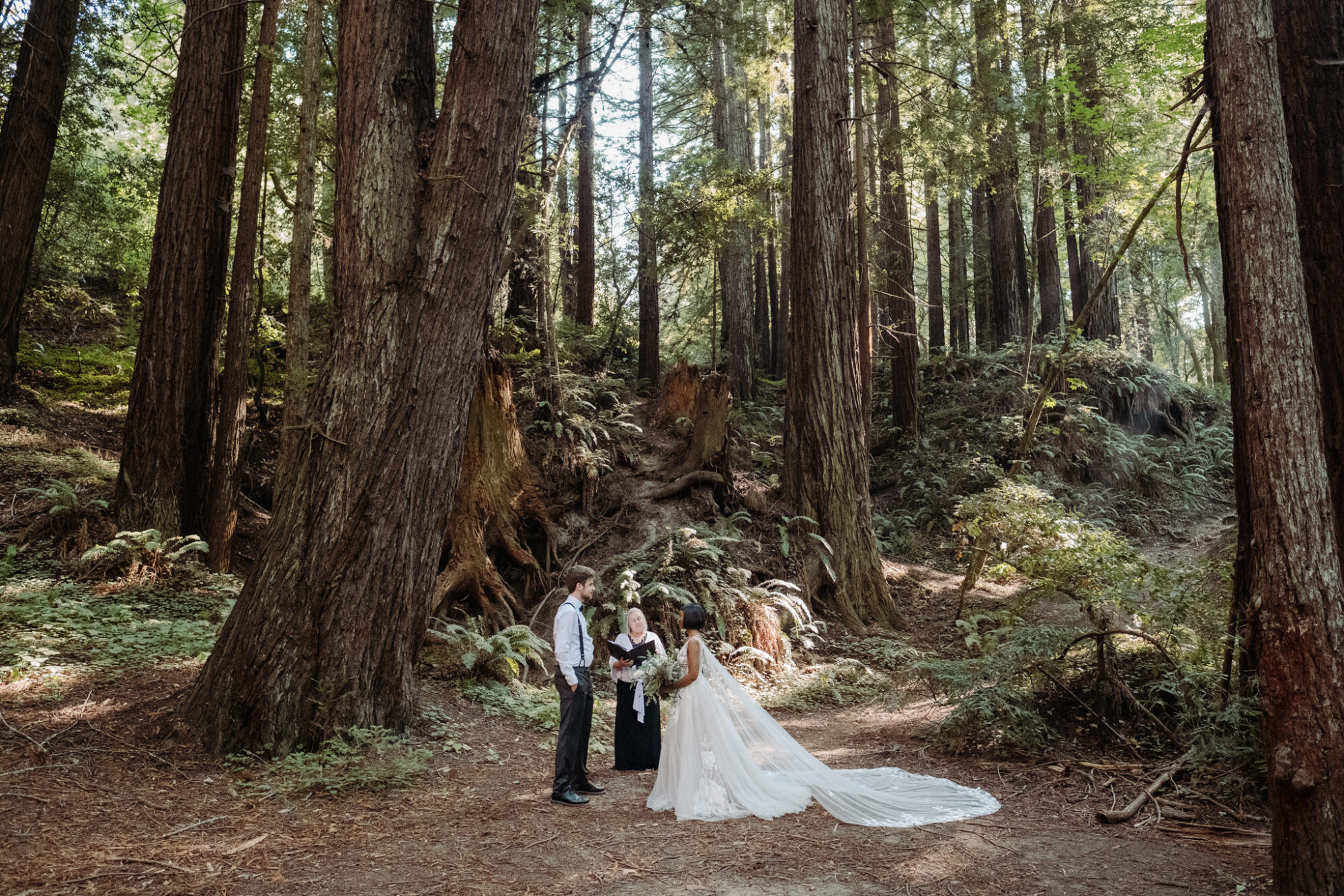 California Redwood Forest Elopement - Melissa Ergo Photography - Santa ...