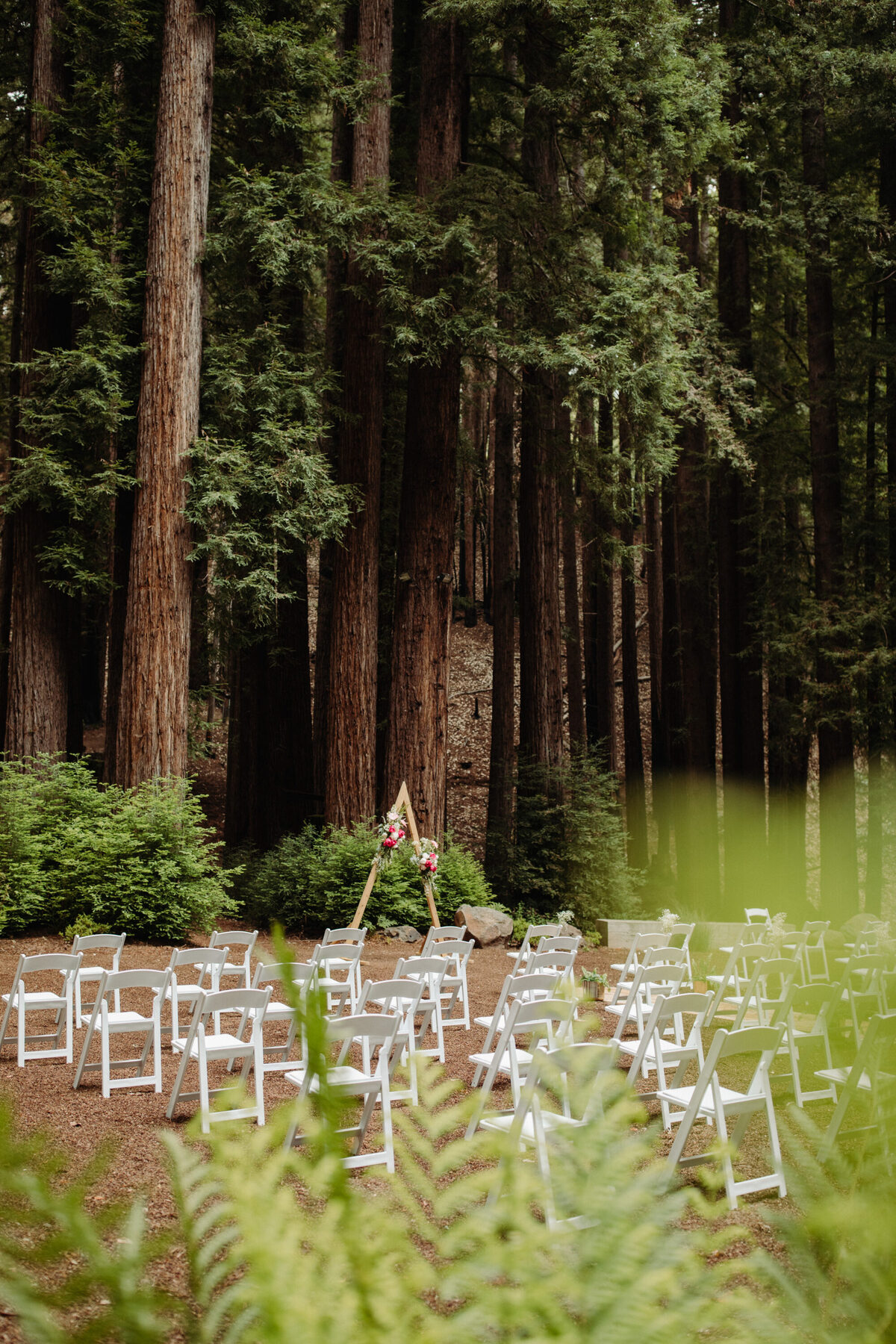 Best Redwood Wedding Venues in California - Melissa Ergo Photography
