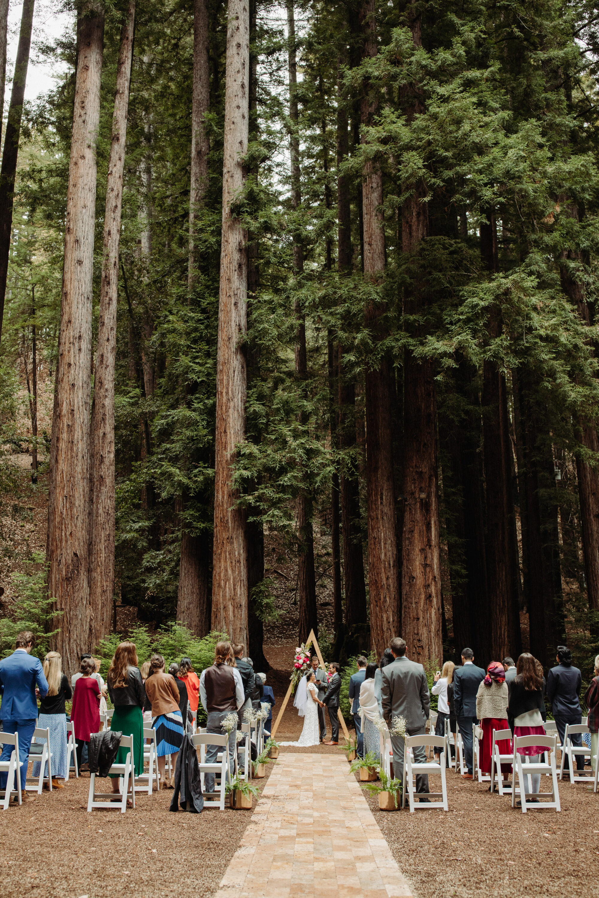 Best Redwood Forest Wedding Venues in California - Melissa Ergo Photography